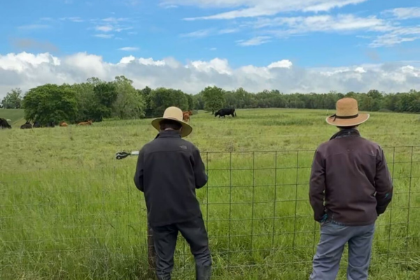 Meet the Farmers Out-Innovating Big Ag – Grass Roots Farmers' Cooperative