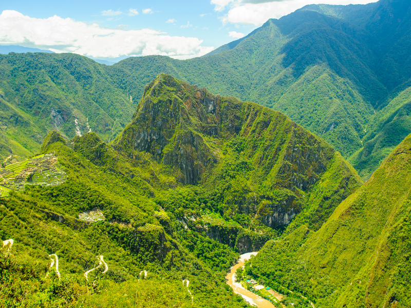 Hungry for Change: Chapter 5 - Global Ripple – Grass Roots Farmers ...